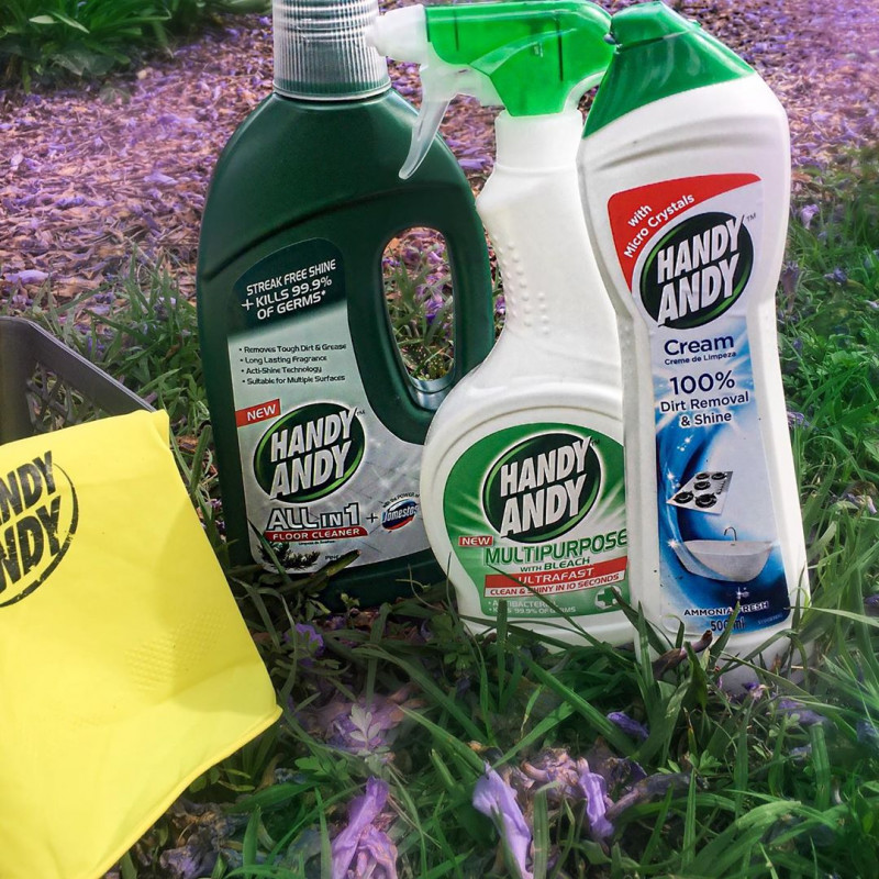 - Handy Andy All in 1 Floor Cleaner Review - Brand Advisor - Floor ...